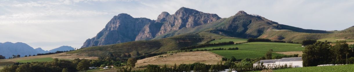 Babylonstoren Chenin Blanc 2024 - Winedirect