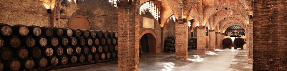 Codorníu Anna de Codorníu Blanc de Noirs Cava NV - Winedirect