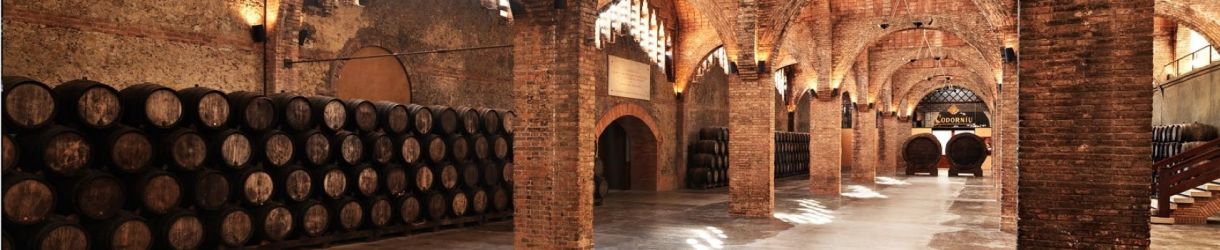 Codorníu Anna de Codorníu Blanc de Blancs Brut Cava NV - Winedirect