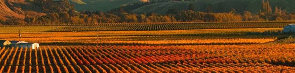 Trinity Hill The Trinity Hawkes Bay 2020 - Winedirect