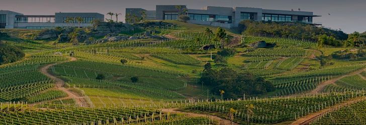 Bodega Garzón Reserva Marselan 2022 - Winedirect