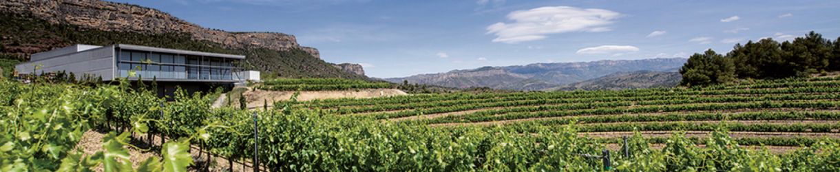 Familia Torres Sons de Prades 2022 - Winedirect