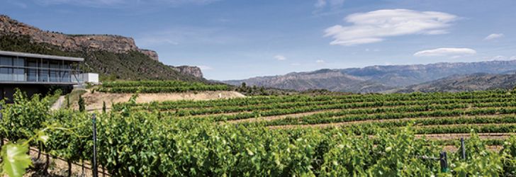 Familia Torres Sons de Prades 2022 - Winedirect