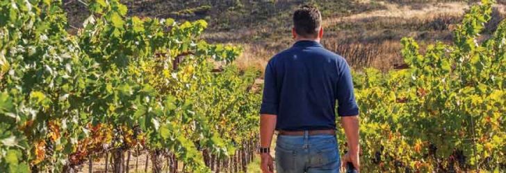 Orin Swift Papillon 2019 (Magnum) - Winedirect