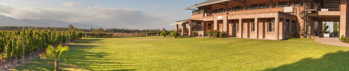 Achaval Ferrer Wine - Winedirect