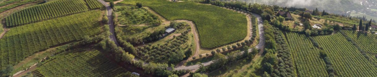 Allegrini Giovanni Allegrini Recioto Classico 2019 (Half Litre ...