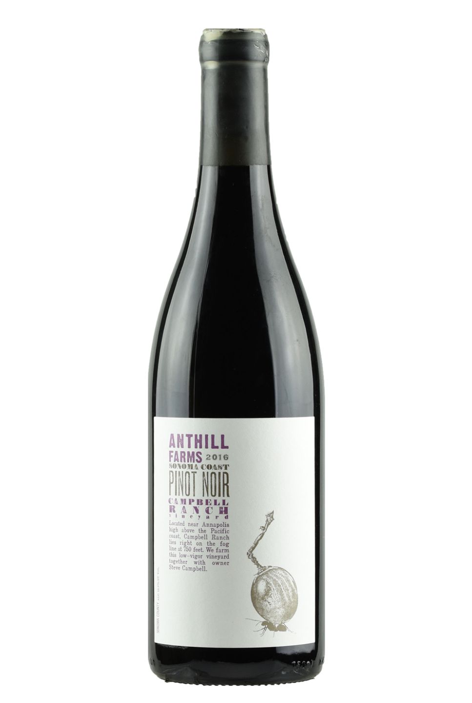 Anthill Farms Winery Campbell Ranch Vineyard Pinot Noir 2020 - Winedirect