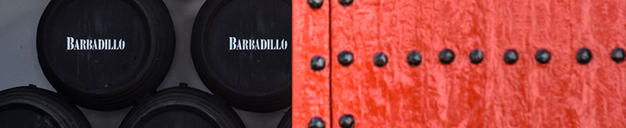 Barbadillo Oloroso (sweet) "San Rafael" NV (Half Bottle) - Winedirect