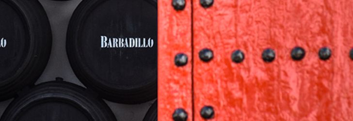 Barbadillo Criadera Selection Amontillado En Rama NV - Winedirect
