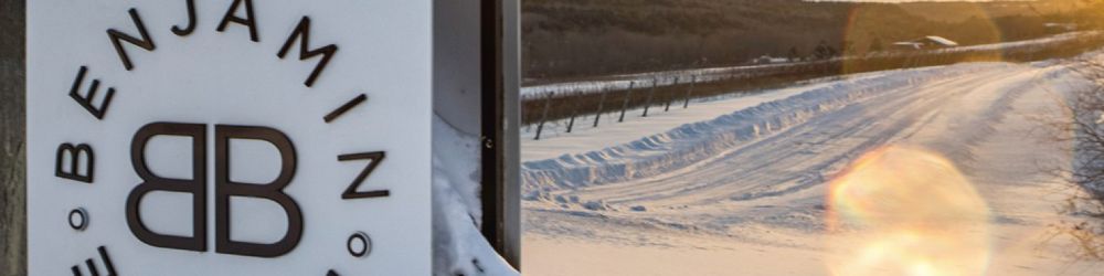 Benjamin Bridge Brut Reserve 2012 - Winedirect