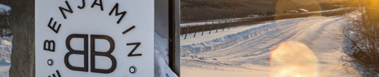 Benjamin Bridge Rosé NV - Winedirect