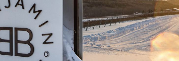 Benjamin Bridge Brut Reserve 2012 - Winedirect