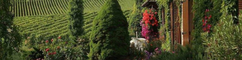 Champagne Bernard Remy Wine - Winedirect