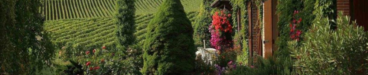 Champagne Bernard Remy Wine - Winedirect