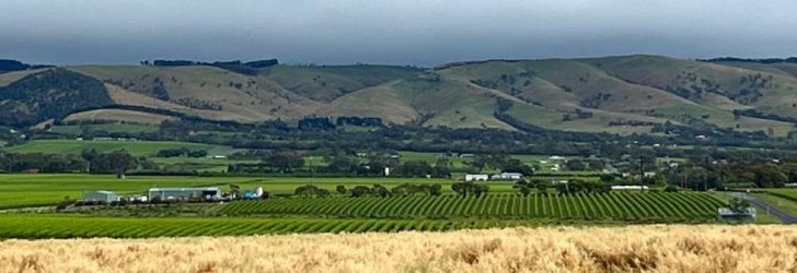 Brash Higgins CBSV Cabernet Sauvignon 2020 - Winedirect