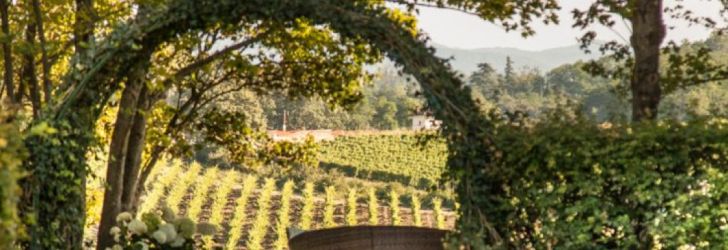 Broglia Gavi di Gavi Bruno Broglia 2021 - Winedirect
