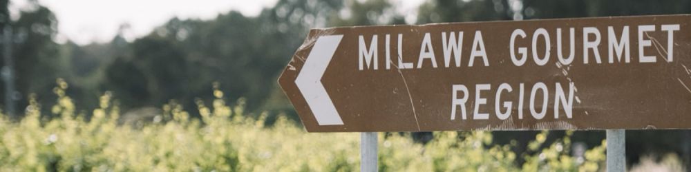 Brown Brothers Cienna 2024 - Winedirect