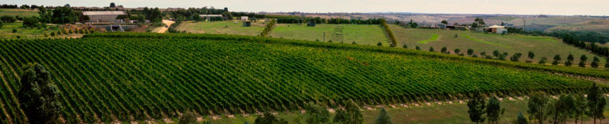 By Farr Viognier 2021 - Winedirect