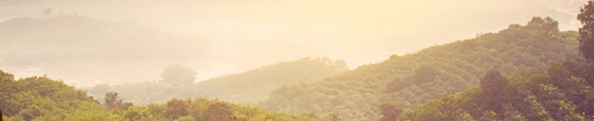 Caliterra Malbec Reserva 2023 - Winedirect