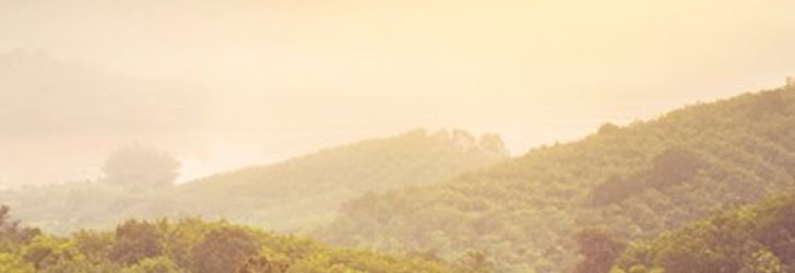 Caliterra Tributo Gran Reserva Malbec 2021 - Winedirect