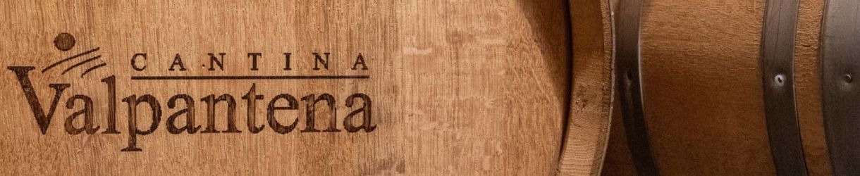 Cantina Valpantena Torre del Falasco Garganega 2023 - Winedirect