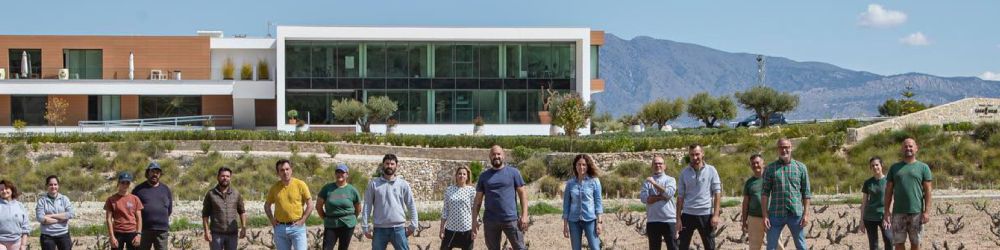 Casa Rojo Wine - Winedirect