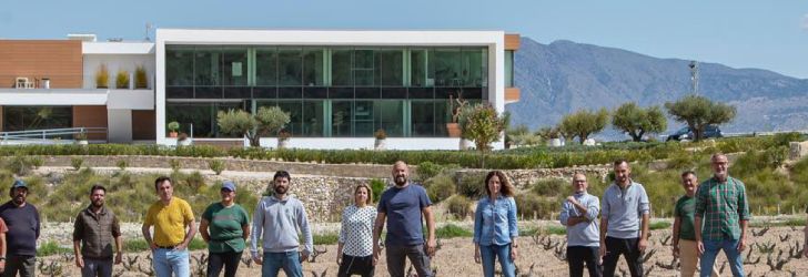 Casa Rojo Wine - Winedirect