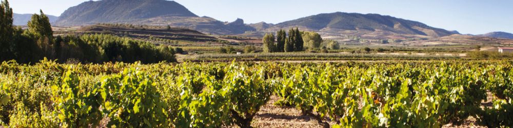 Castillo Clavijo Rioja Reserva 2018 - Winedirect