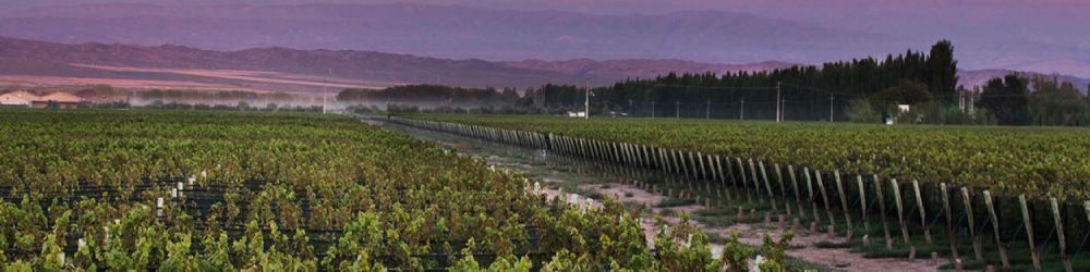 Chakana Nuna Vineyard Malbec 2022 - Winedirect