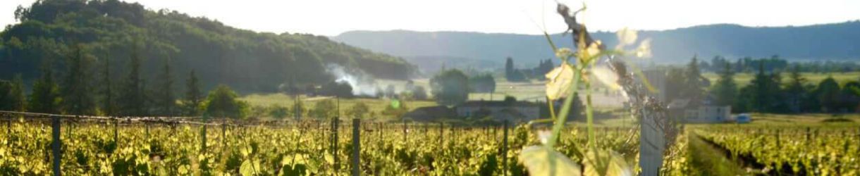 Château du Cèdre Marcel Malbec 2023 - Winedirect