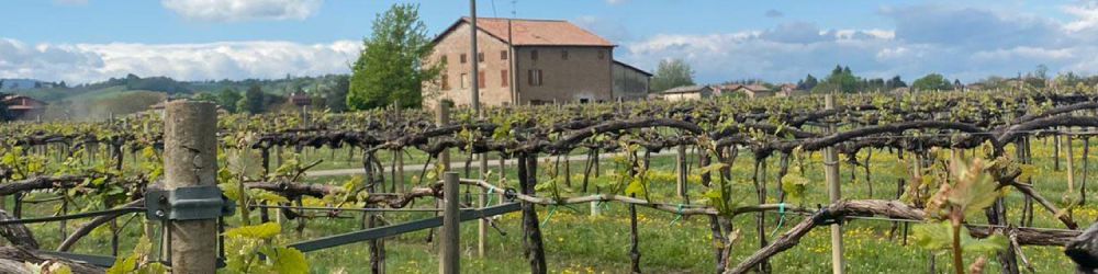 Cleto Chiarli Vecchia Modena Lambrusco Sorbara 2024 - Winedirect