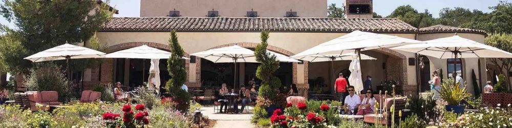 DAOU Soul of a Lion 2021 - Winedirect