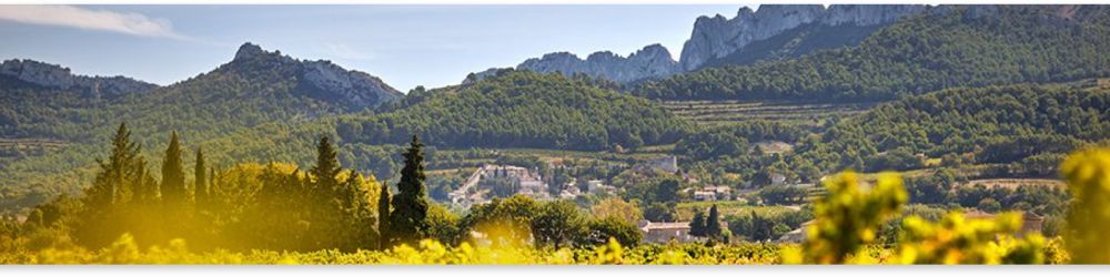 Domaine Santa Duc Châteauneuf-du-Pape Rouge Habemus Papam 2021 - Winedirect