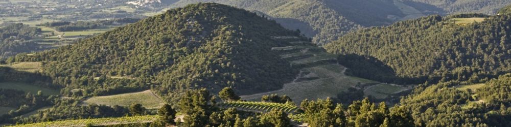 Domaine des Bosquets La Colline Gigondas 2021 - Winedirect