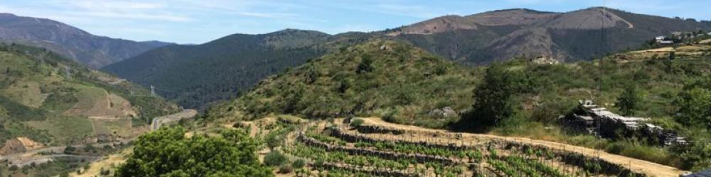 Dominio do Bibei Lapola Ribeira Sacra 2022 - Winedirect