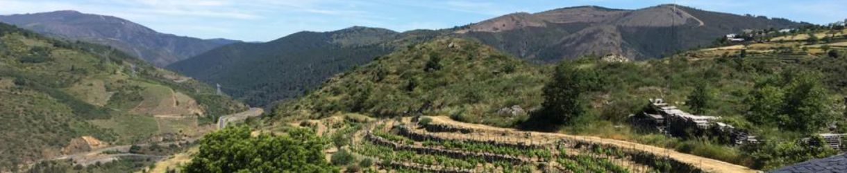Dominio do Bibei Lapola Ribeira Sacra 2022 - Winedirect