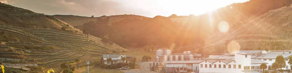 Esk Valley Chardonnay 2023 - Winedirect