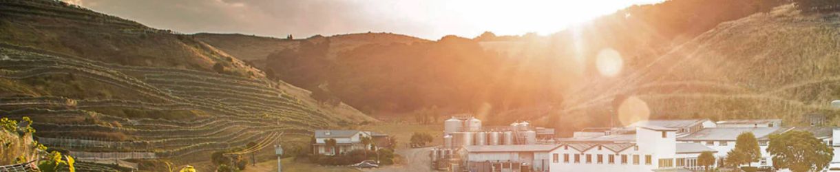 Esk Valley Chardonnay 2023 - Winedirect