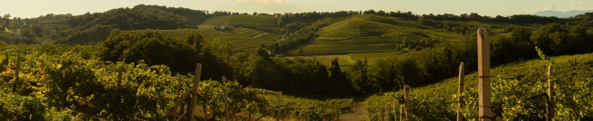 Fantinel One & Only Prosseco Brut NV - Winedirect