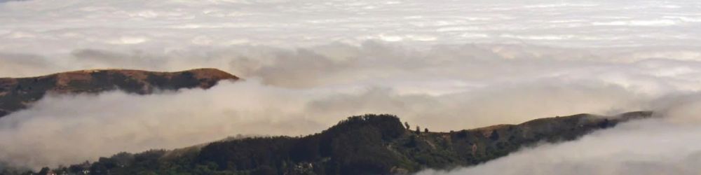 Fog Monster Bedrock Red 2016 - Winedirect