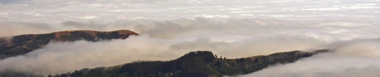 Fog Monster Bedrock Red 2016 - Winedirect