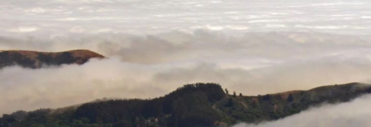 Fog Monster Bedrock Red 2016 - Winedirect