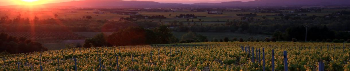 Domaine Fond Croze Côtes du Rhône Cuvée Shyrus 2021 - Winedirect