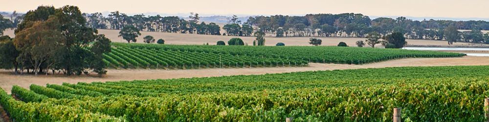 Fowles Wine Wine - Winedirect