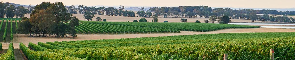 Fowles Wine Wine - Winedirect