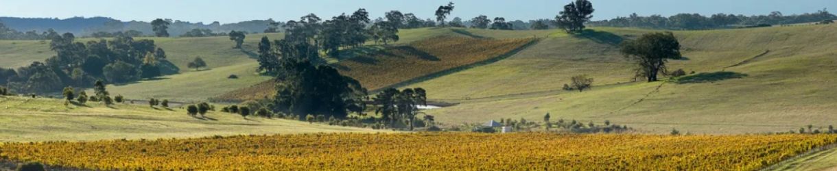 Grosset Wine - Winedirect