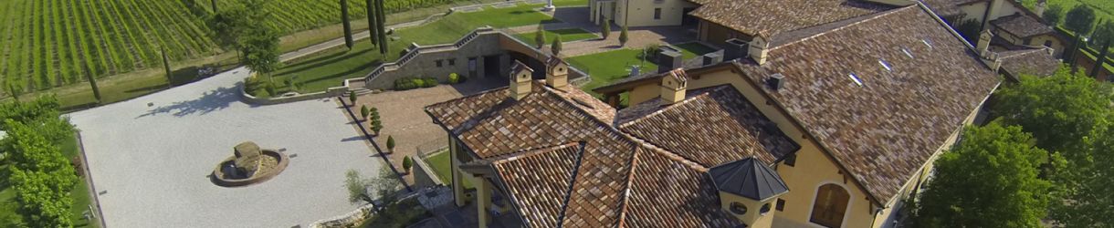 Jermann Capo Martino 2019 - Winedirect