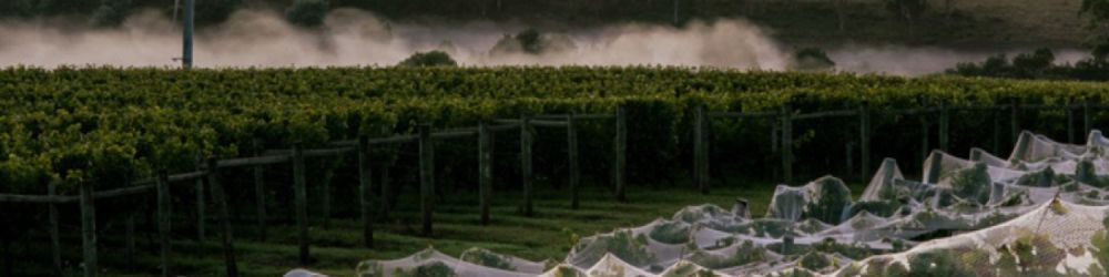 House of Arras A by Arras Premium Cuvée NV - Winedirect