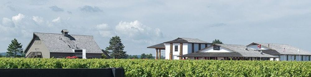 Inniskillin Wine - Winedirect