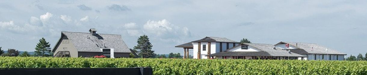 Inniskillin Wine - Winedirect